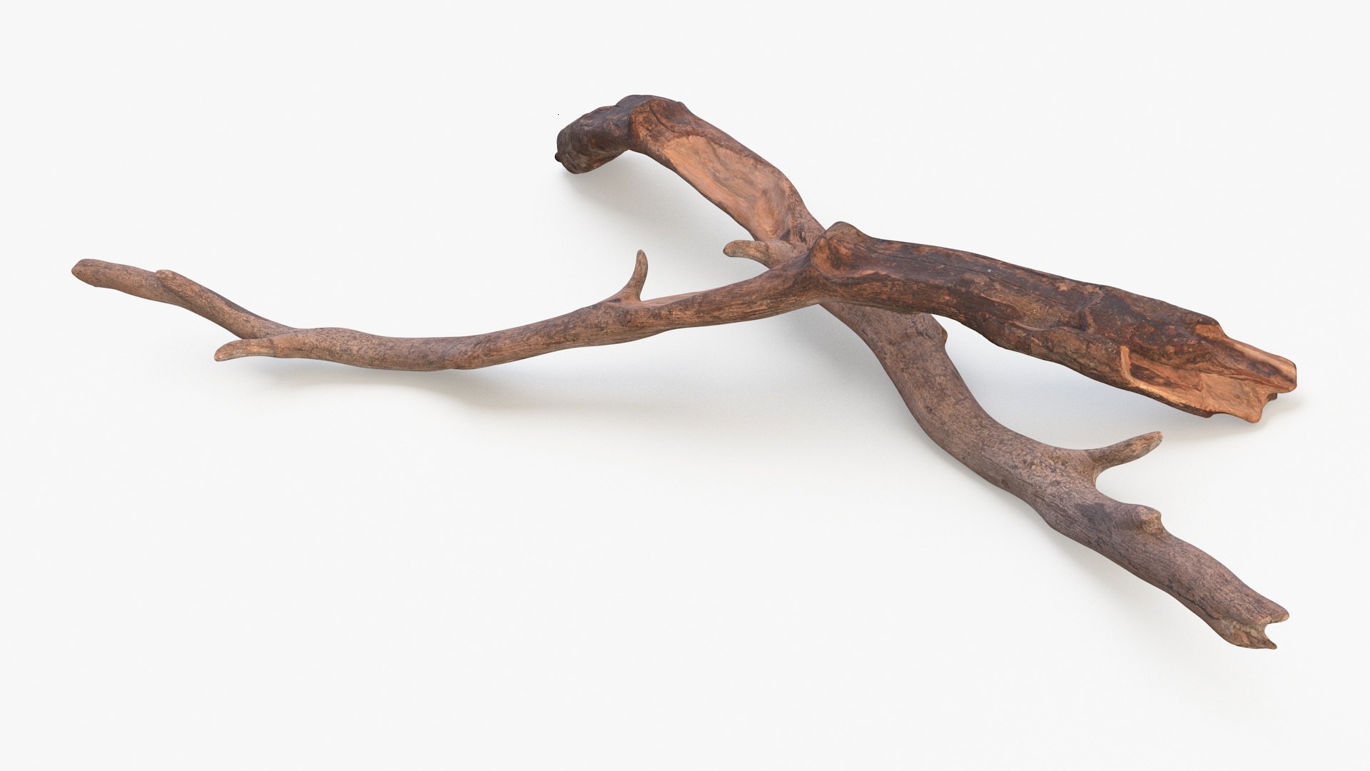 3D Realistic Tree Branch - TurboSquid 2274187