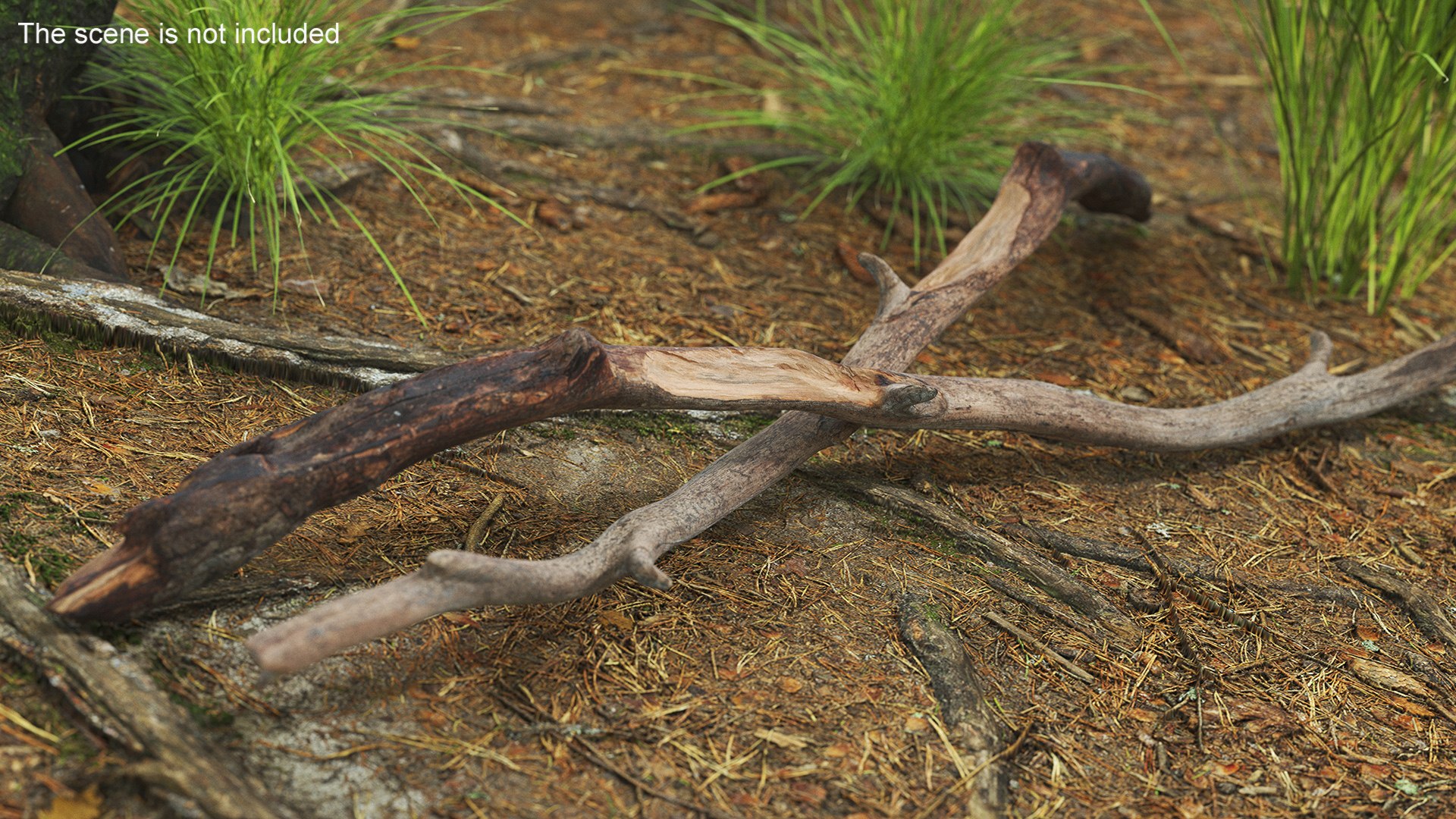 3D Realistic Tree Branch - TurboSquid 2274187