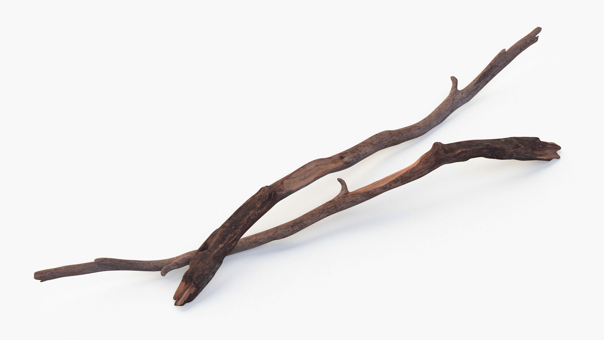 3D Realistic Tree Branch - TurboSquid 2274187