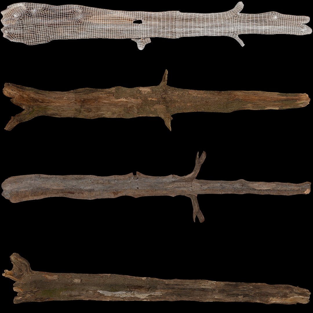 3D Realistic Tree Branch - TurboSquid 2274187