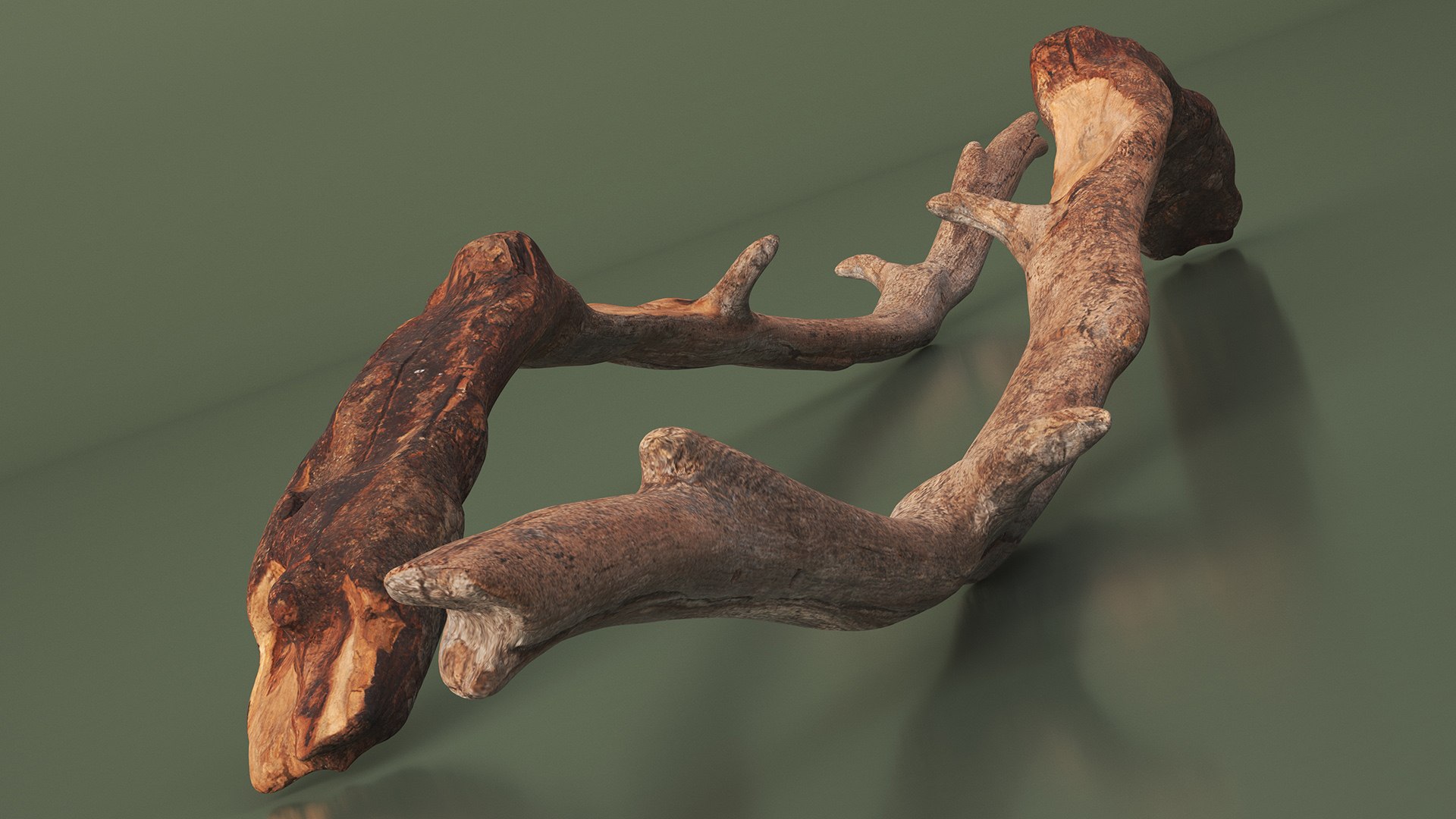 3D Realistic Tree Branch - TurboSquid 2274187