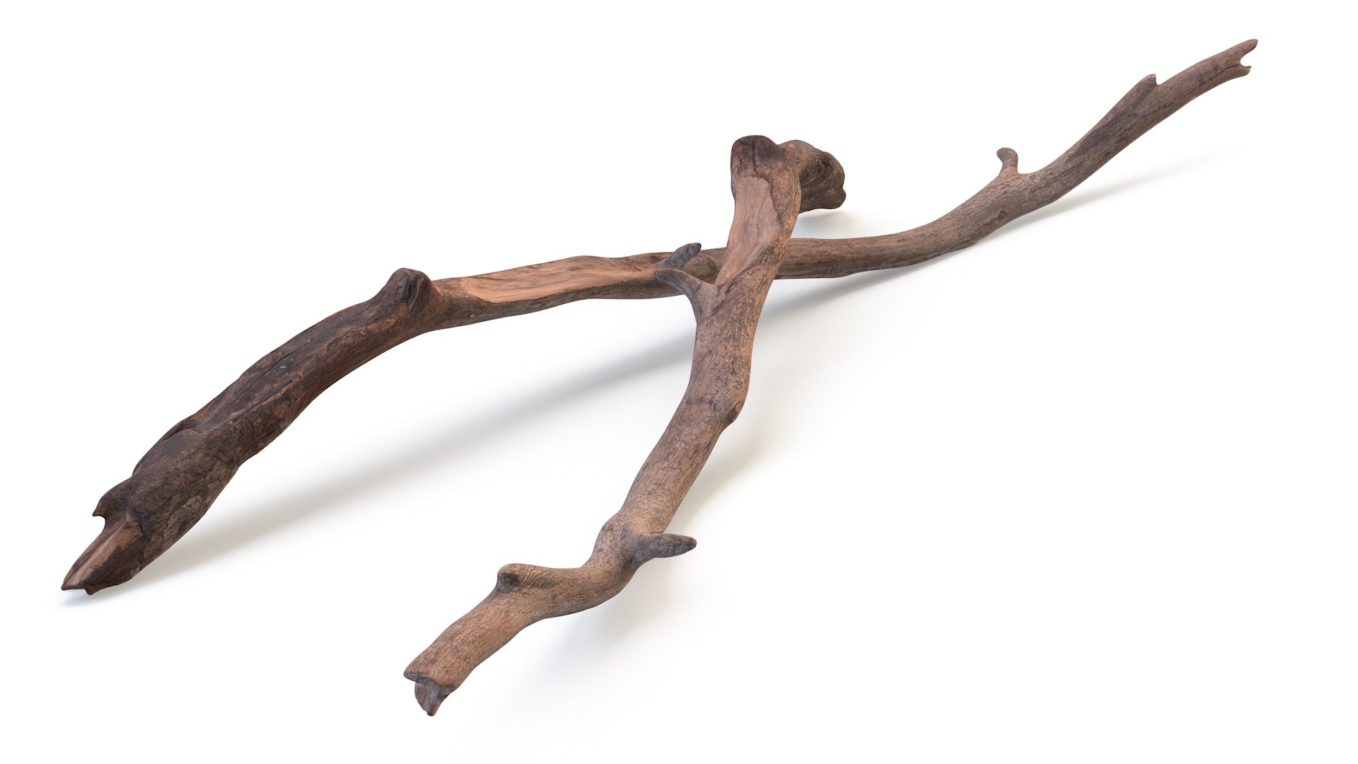 3D Realistic Tree Branch - TurboSquid 2274187