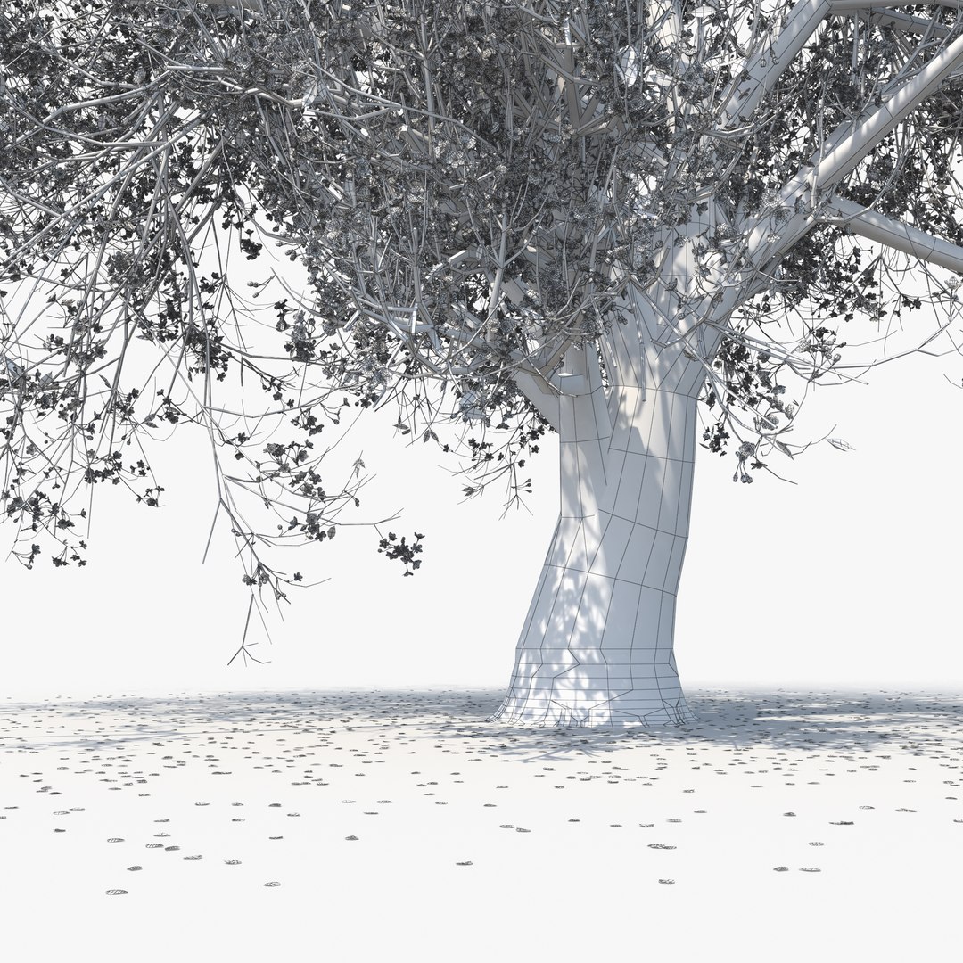 3D Blossom Tree 01 Model - TurboSquid 1218985