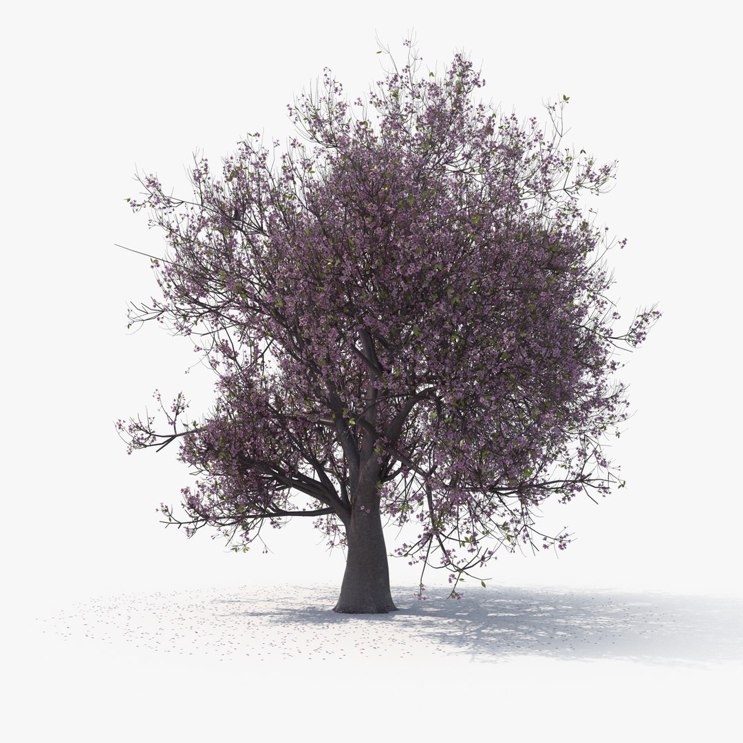 3D Blossom Tree 01 Model - TurboSquid 1218985