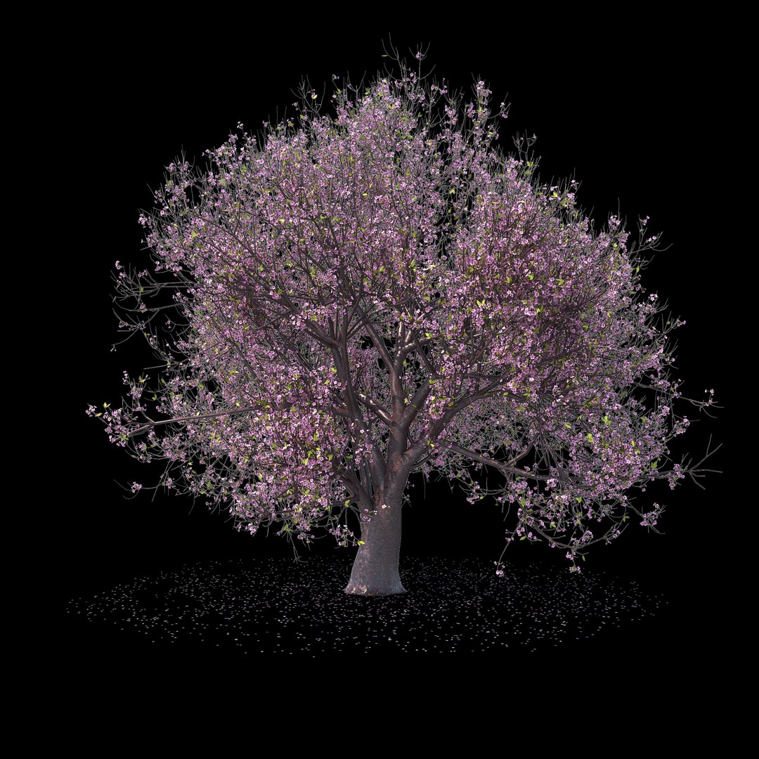 3D Blossom Tree 01 Model - TurboSquid 1218985