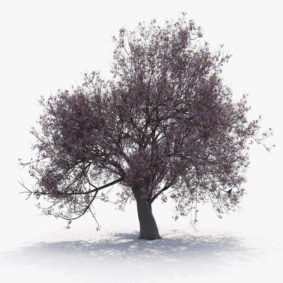 3D Blossom Tree 01 Model - TurboSquid 1218985