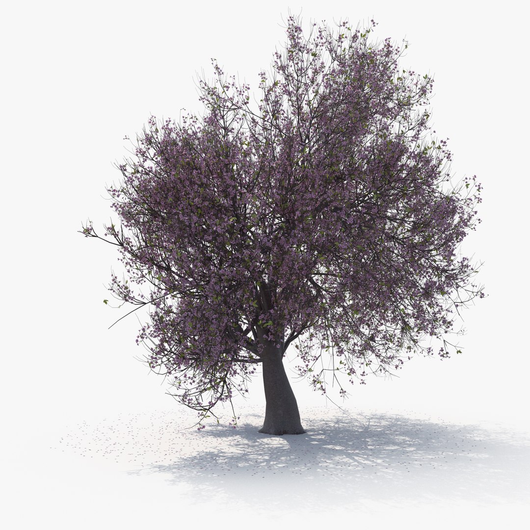 3D Blossom Tree 01 Model - TurboSquid 1218985