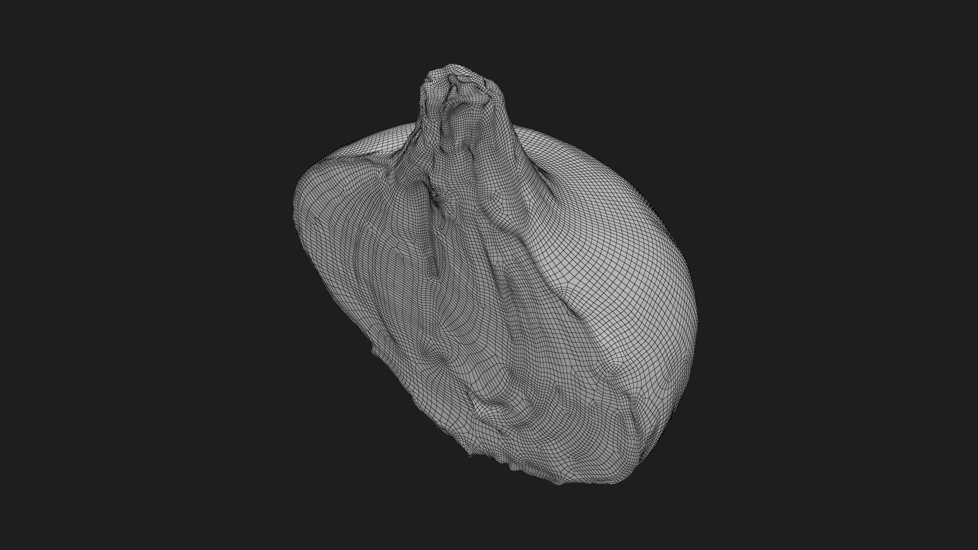 Shallot Half 3D Model - TurboSquid 2203298