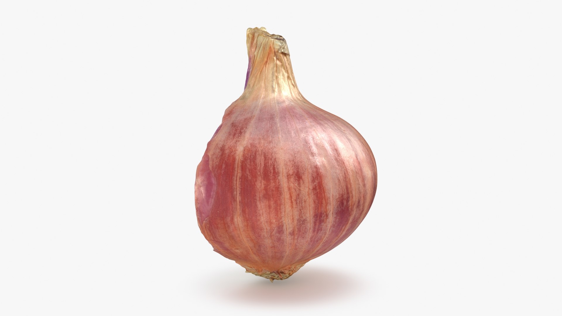 Shallot Half 3D Model - TurboSquid 2203298