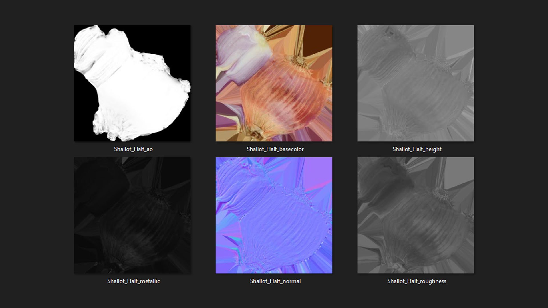 Shallot Half 3D Model - TurboSquid 2203298