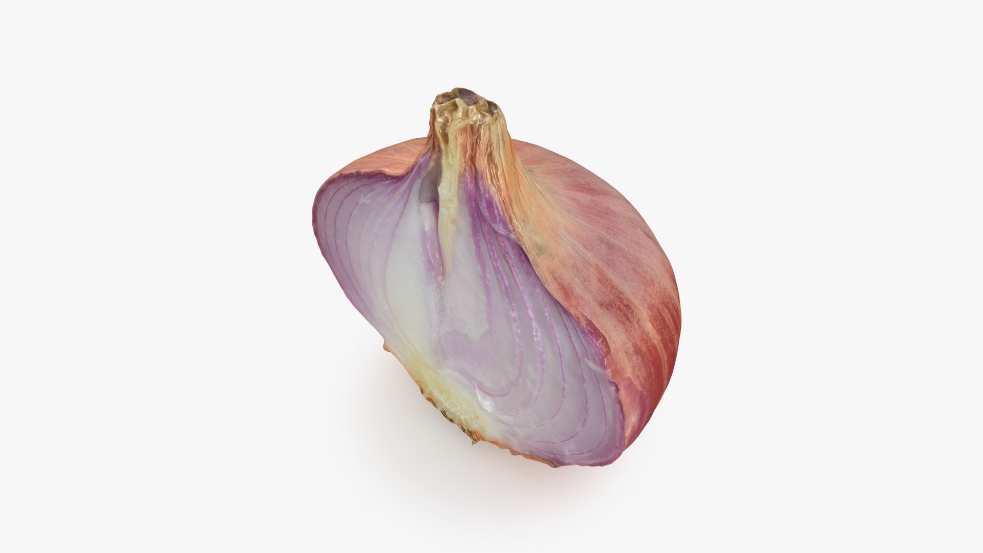 Shallot Half 3D Model - TurboSquid 2203298