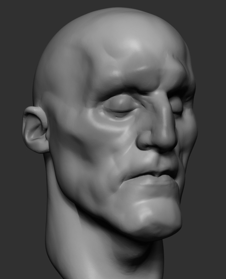 3D Stylized Head - TurboSquid 1314255