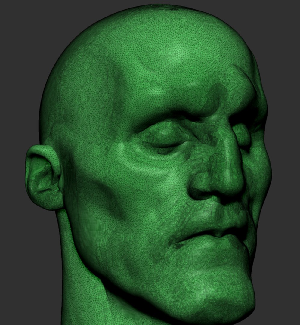 3D Stylized Head - TurboSquid 1314255