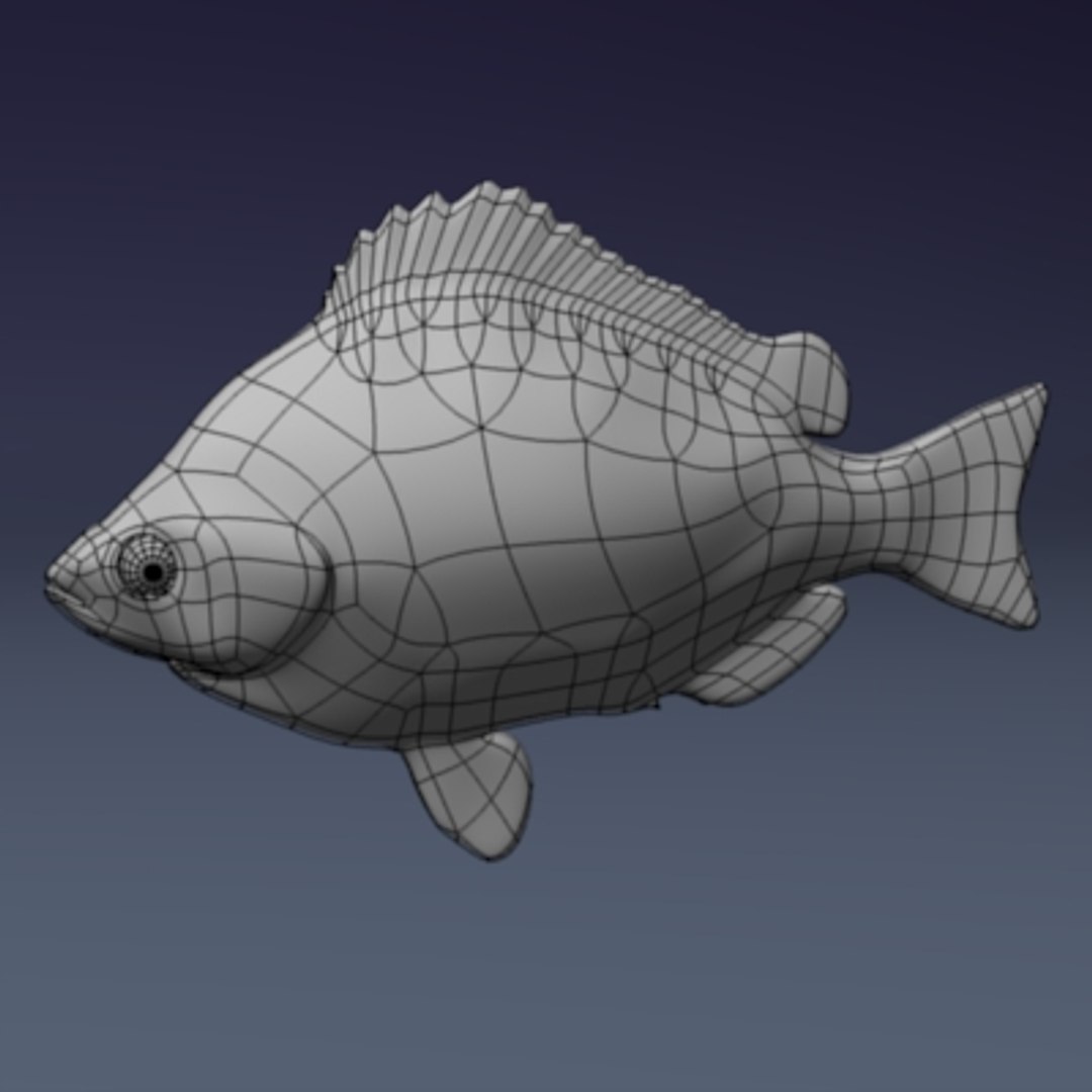 Fish 3d Model