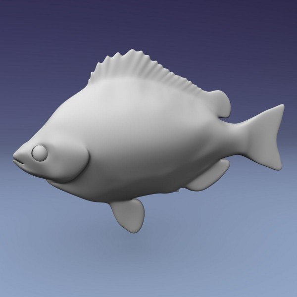 fish 3d model