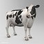 Animation Cow Max