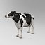Animation Cow Max