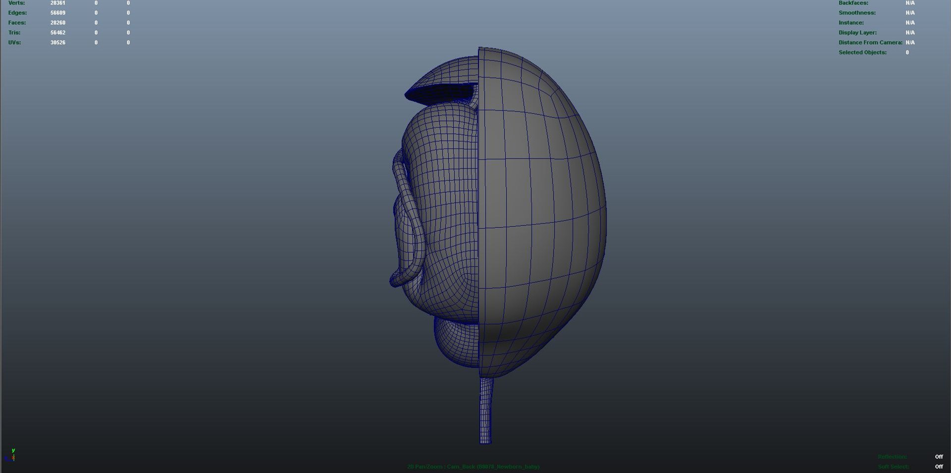 3d Model Baby Womb