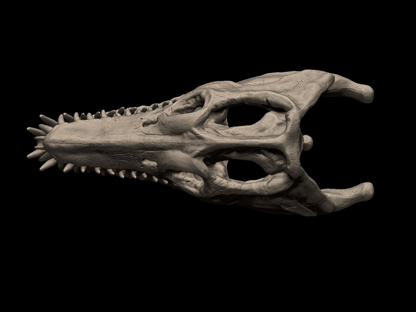3D Elasmosaurus Skull 3D Print Model Model - TurboSquid 2396878