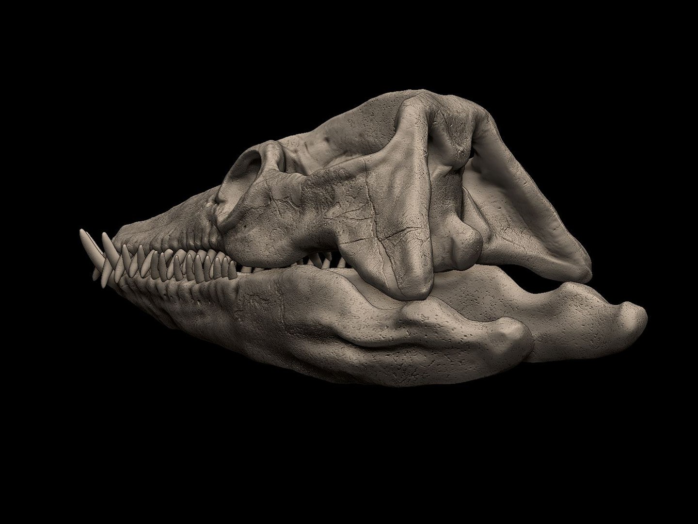 3D Elasmosaurus Skull 3D Print Model Model - TurboSquid 2396878