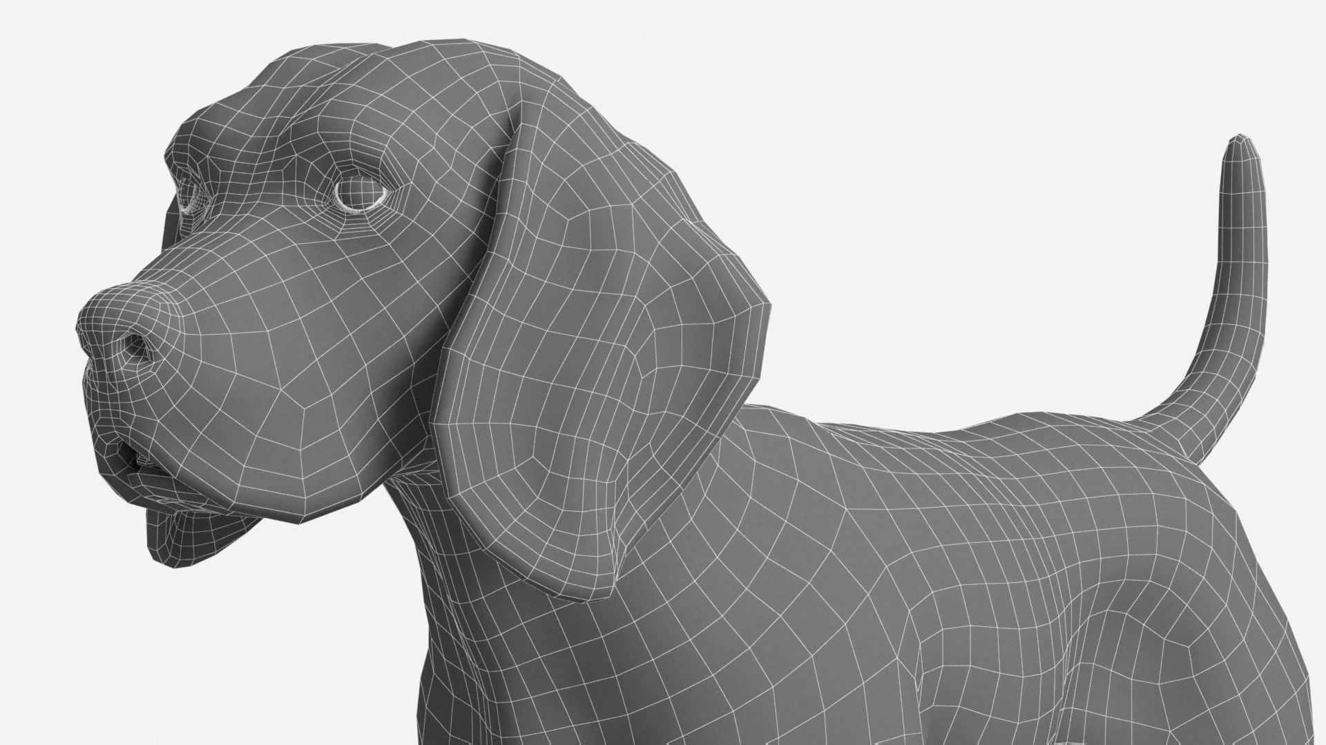 Beagle Ornatrix Ephere 3D Model - TurboSquid 1435590