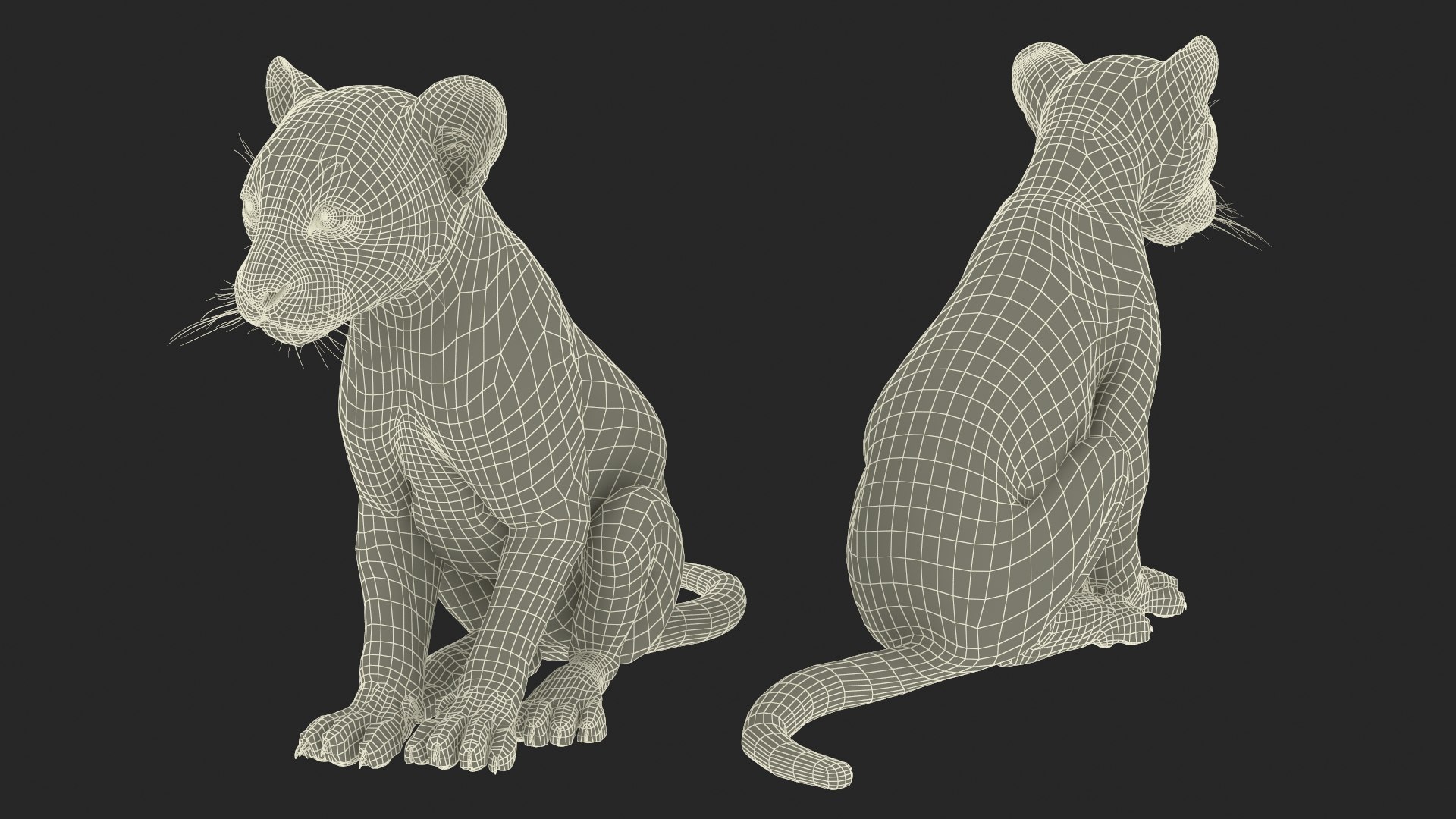 3D Leopard Cub Sitting Pose Model - TurboSquid 2335370
