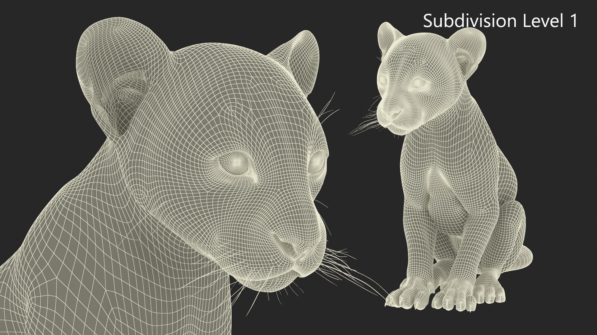 3D Leopard Cub Sitting Pose Model - TurboSquid 2335370
