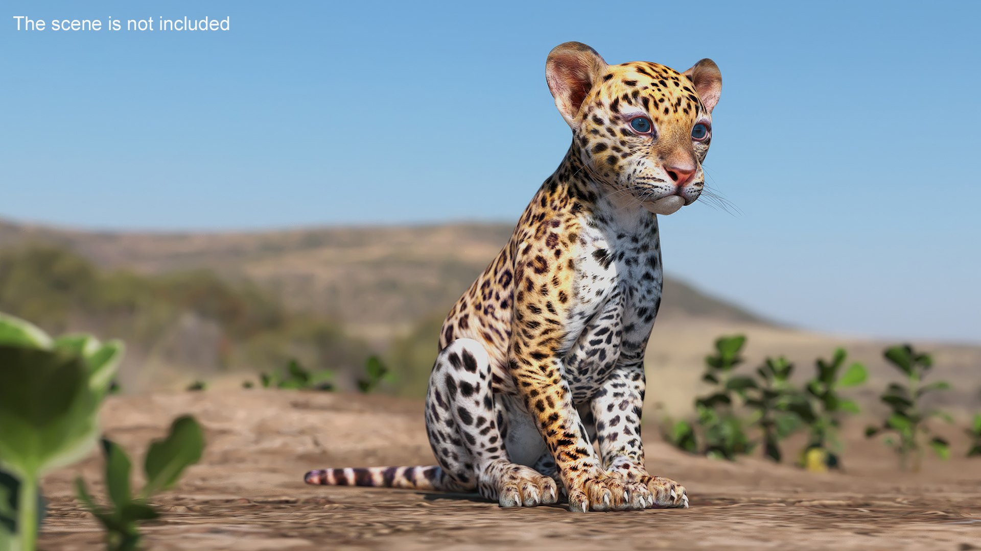 3D Leopard Cub Sitting Pose Model - TurboSquid 2335370