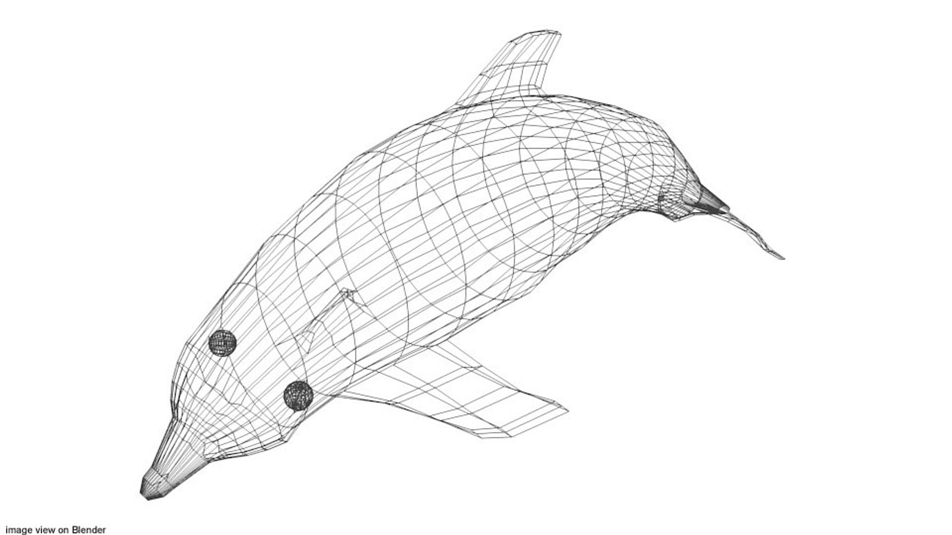 Dolphin Oceanic 3D Model | 1147813 | TurboSquid