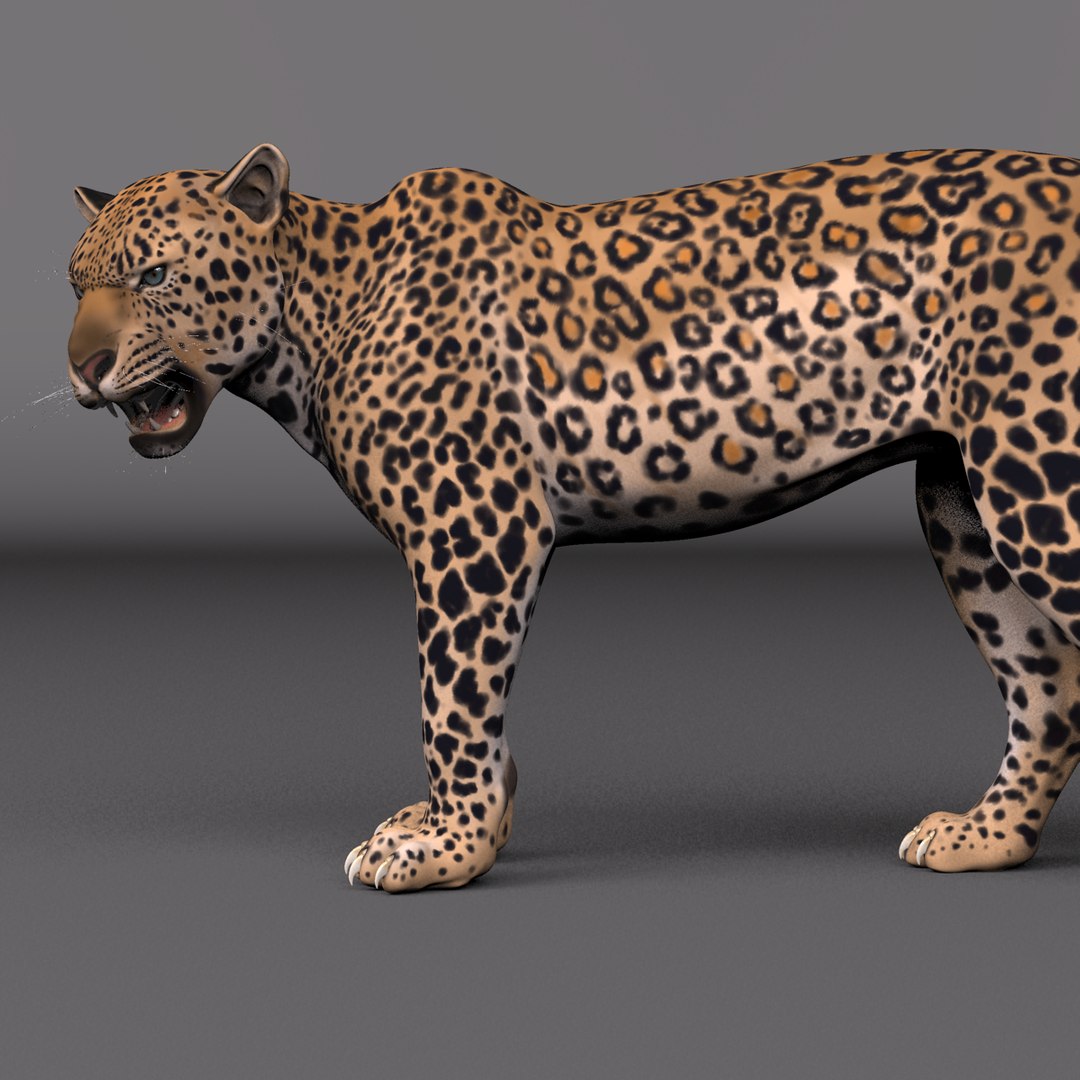 Free Leopard Rig 3D Model - TurboSquid 1182228