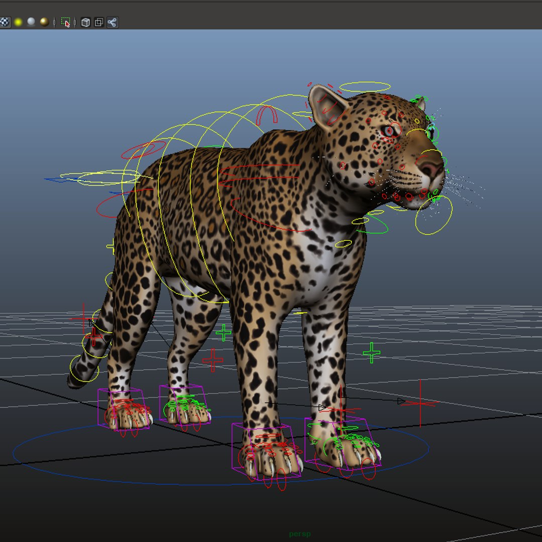 Free Leopard Rig 3D Model - TurboSquid 1182228
