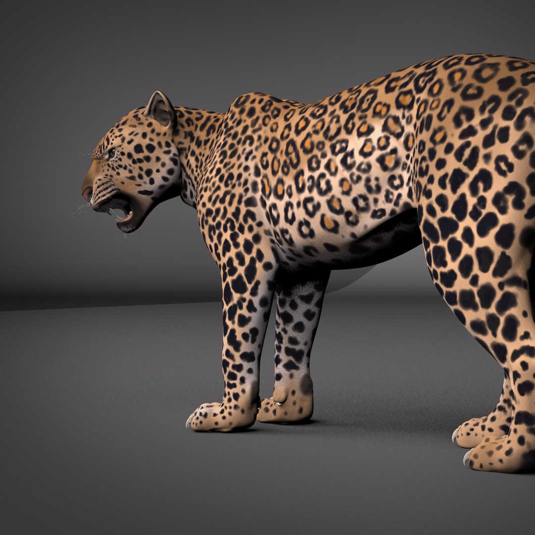 Free Leopard Rig 3D Model - TurboSquid 1182228