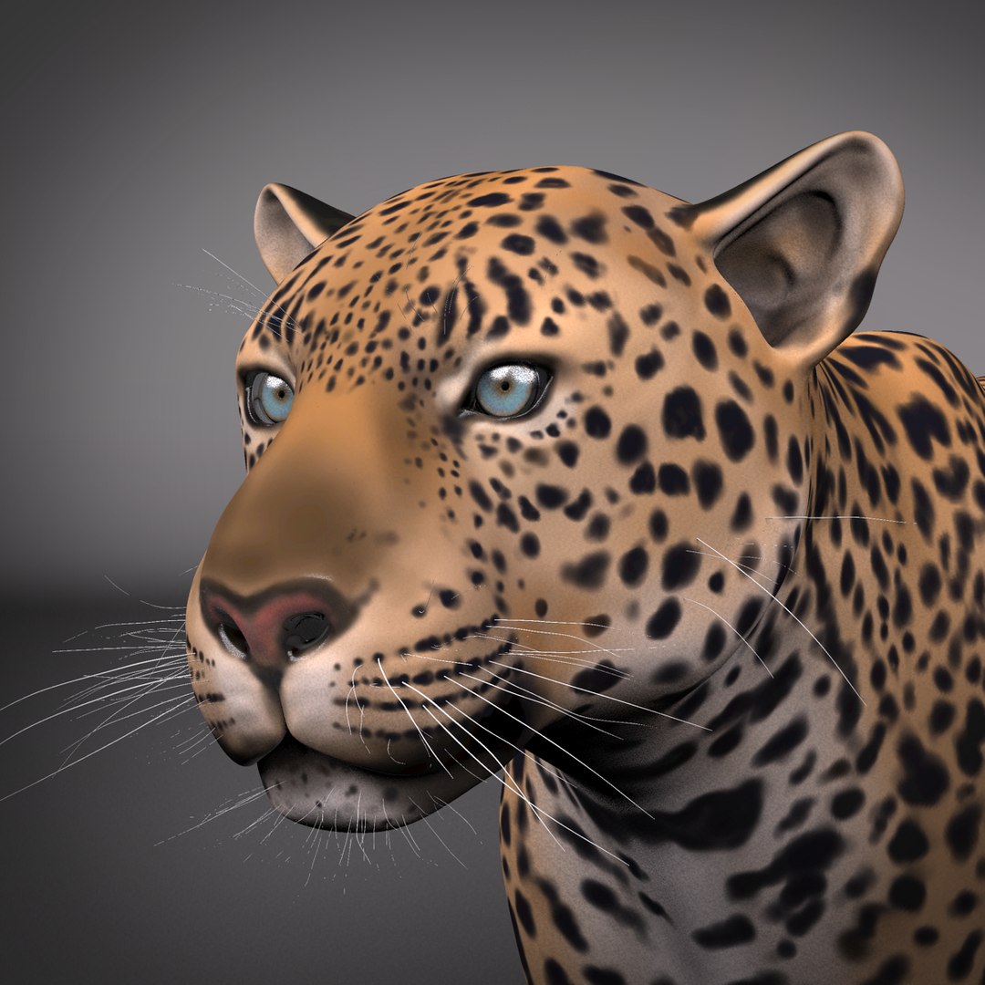 Free Leopard Rig 3D Model - TurboSquid 1182228