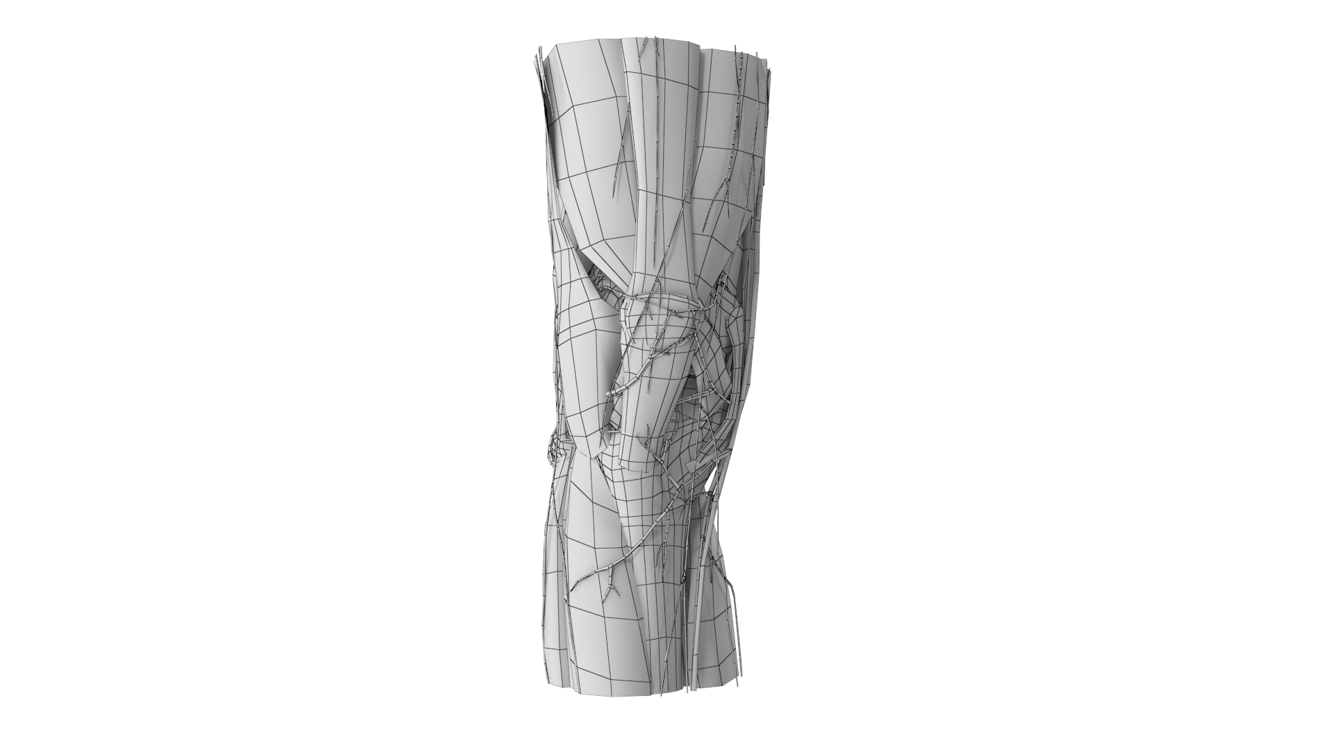Complete Knee Anatomy Muscles 3D Model - TurboSquid 1435480