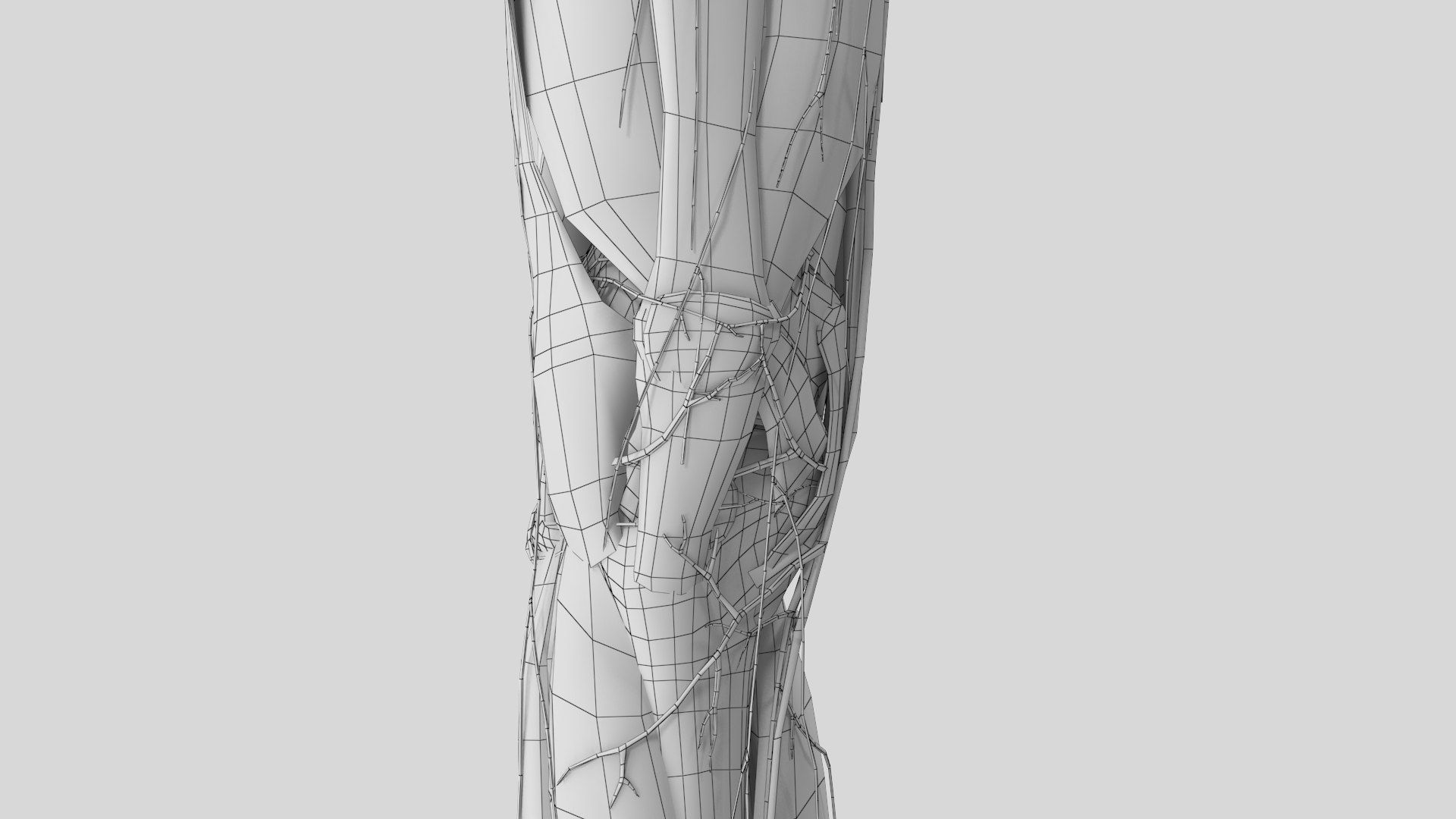 Complete Knee Anatomy Muscles 3D Model - TurboSquid 1435480