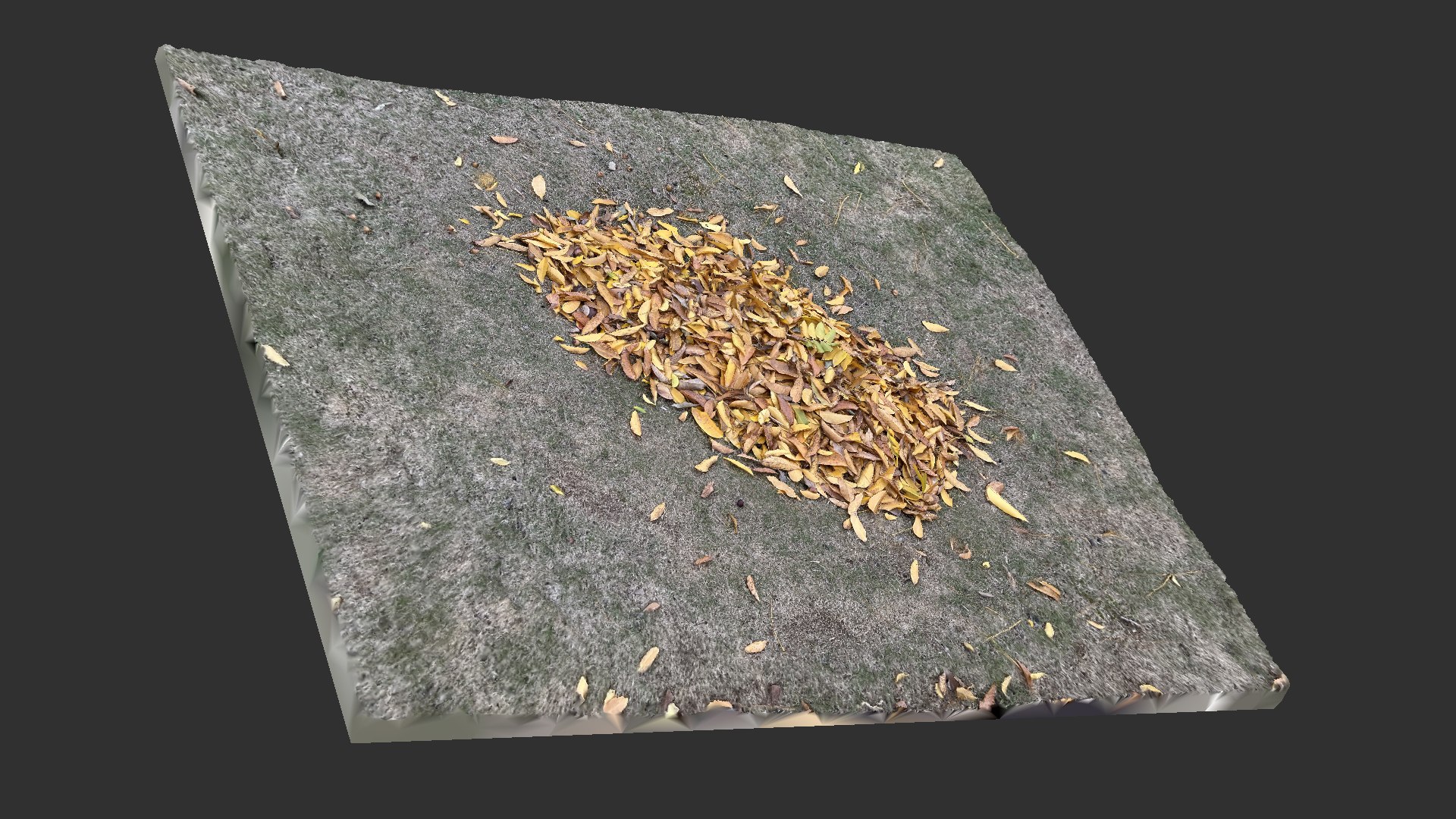 3D Leaves On The Ground 3d Scan - TurboSquid 1995575