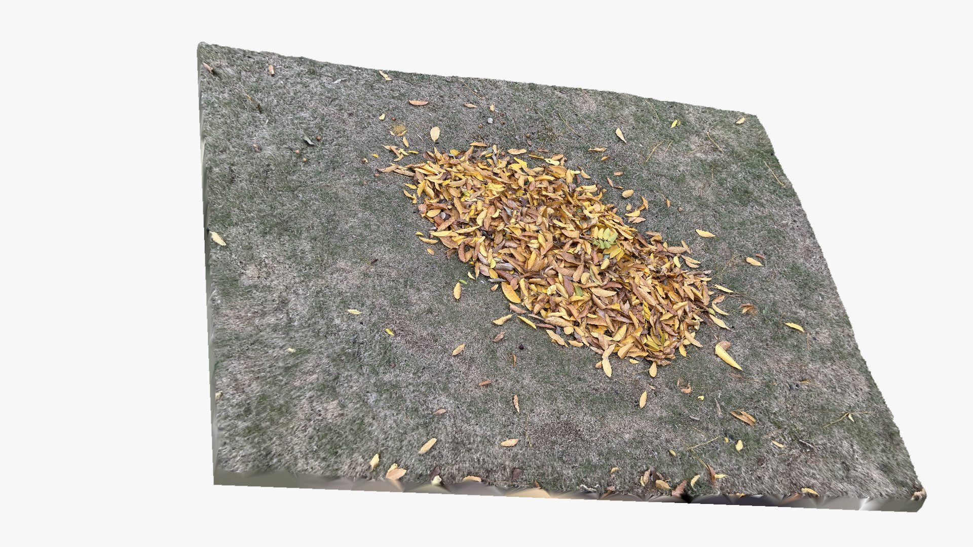 3D Leaves On The Ground 3d Scan - TurboSquid 1995575