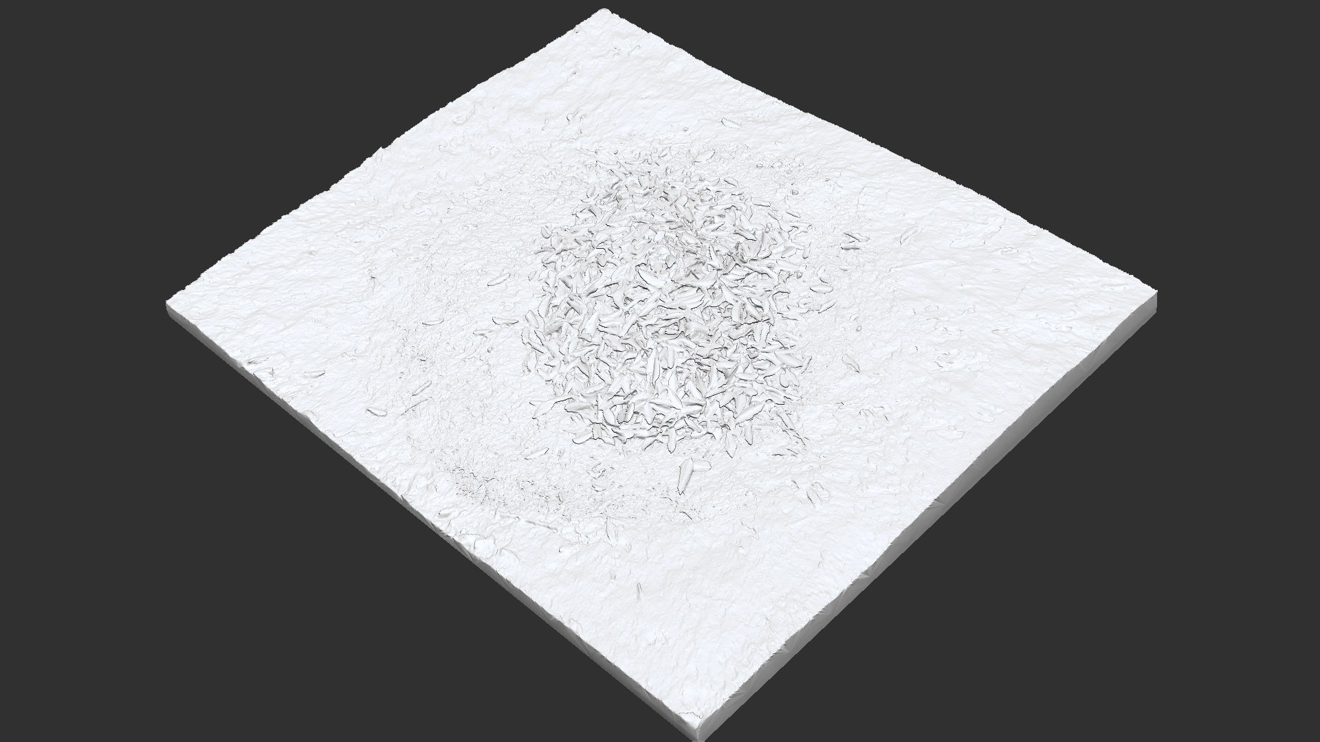 3D Leaves On The Ground 3d Scan - TurboSquid 1995575