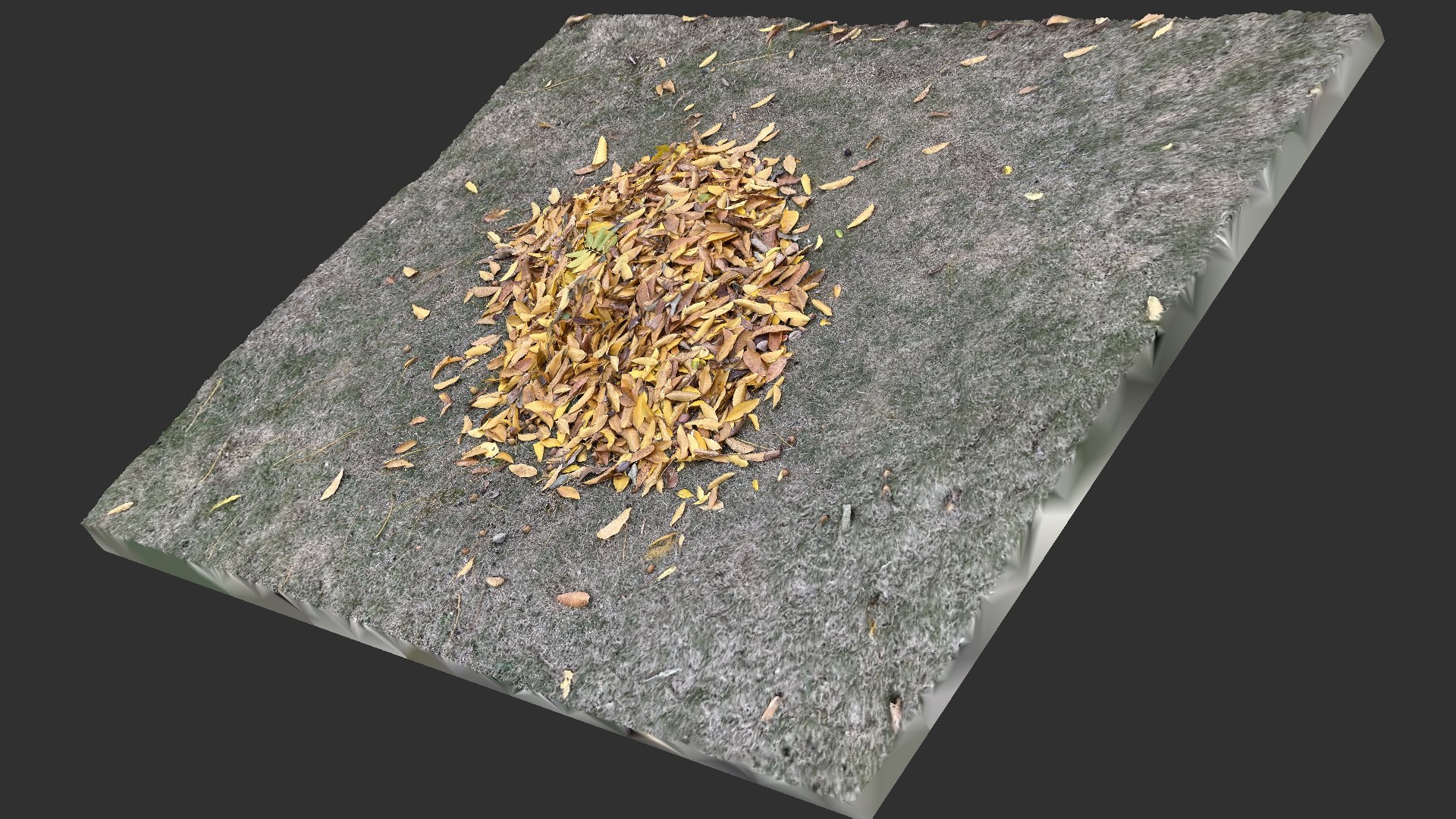3D Leaves On The Ground 3d Scan - TurboSquid 1995575