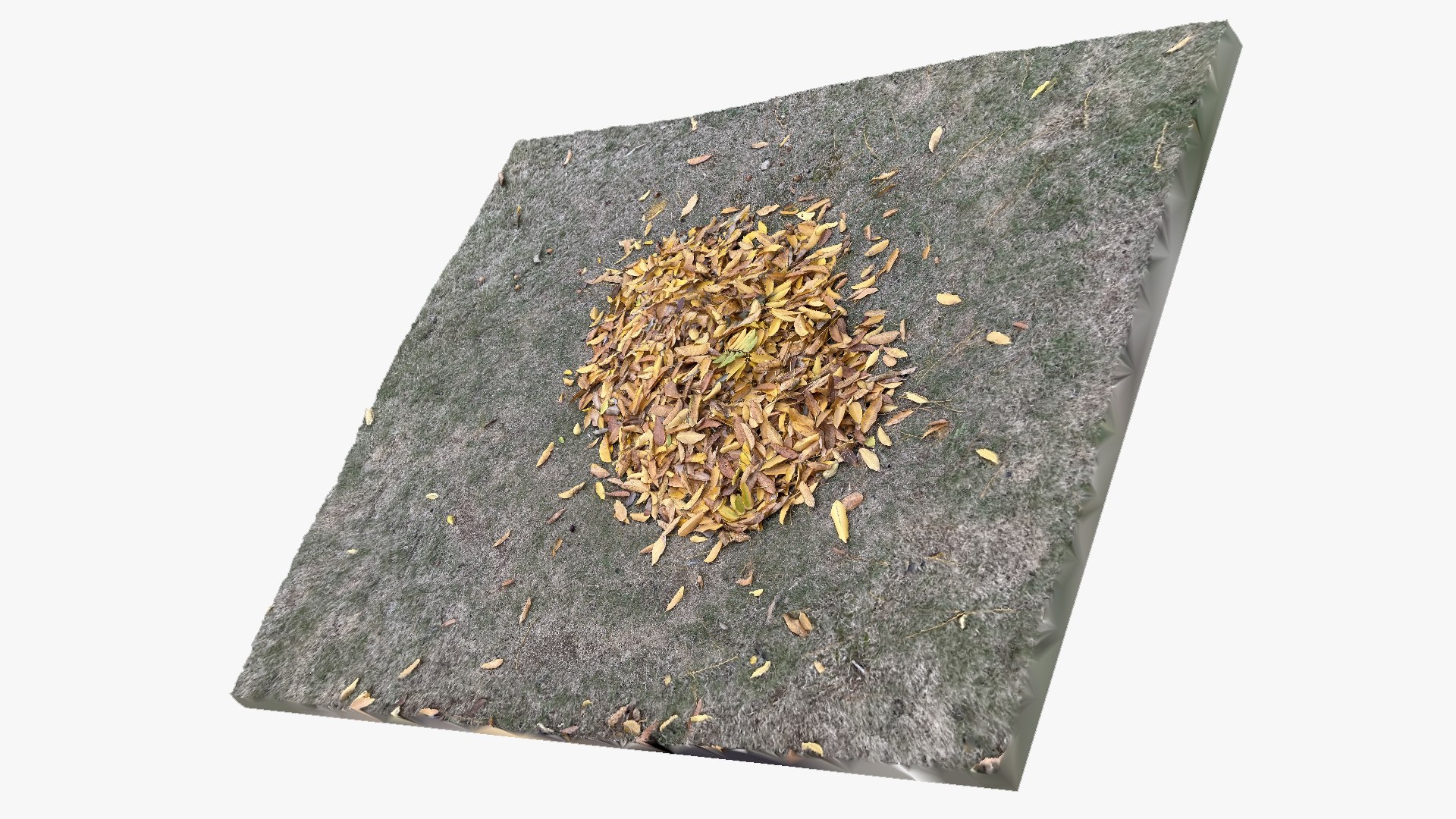 3D Leaves On The Ground 3d Scan - TurboSquid 1995575