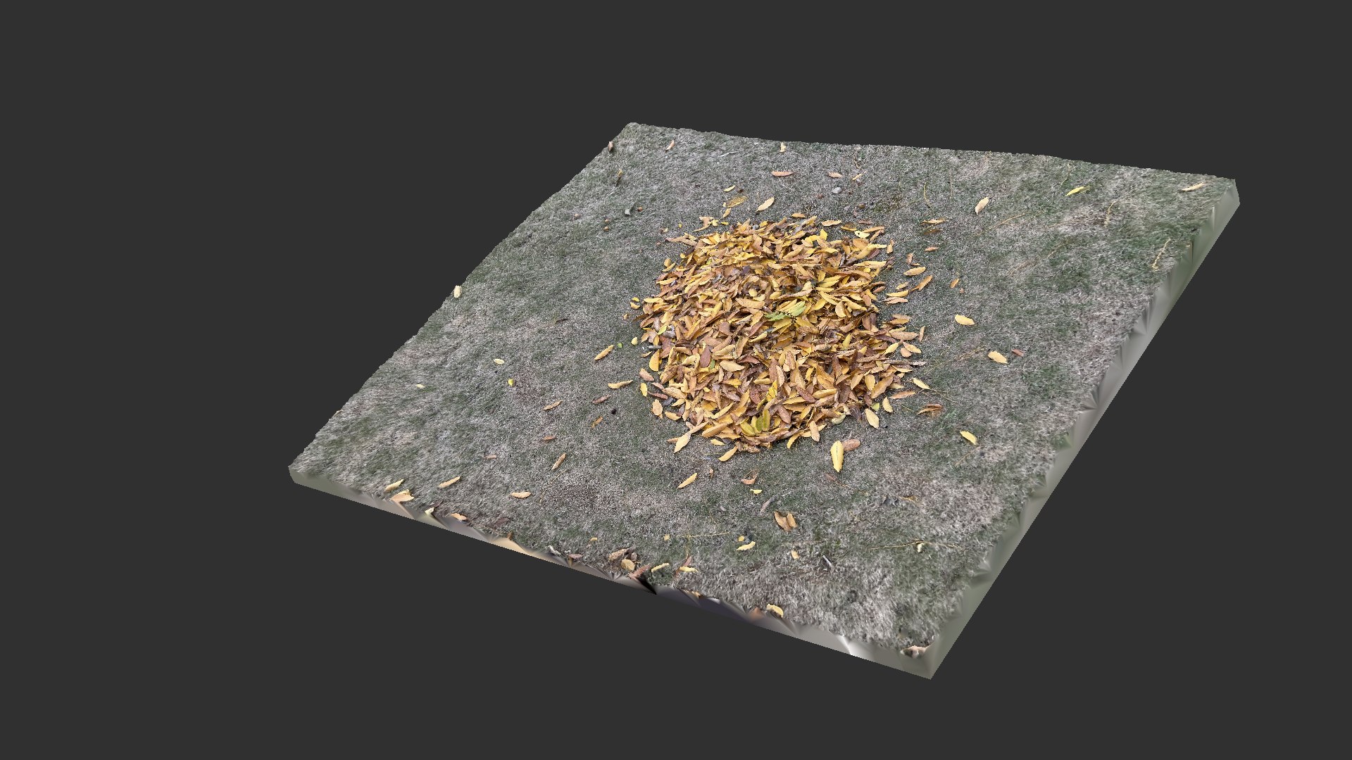 3D Leaves On The Ground 3d Scan - TurboSquid 1995575