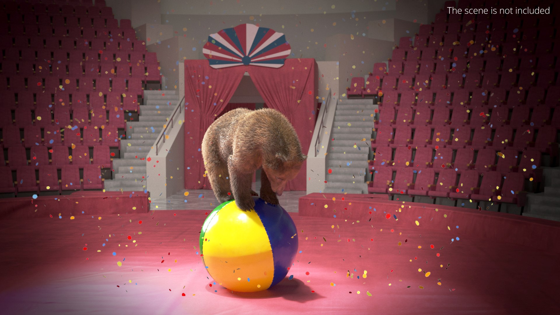 circus bear ball