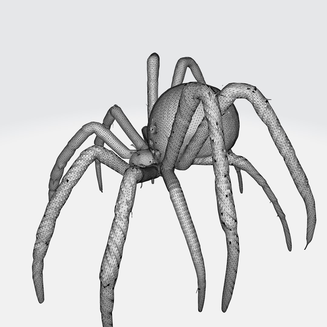 3D Spider Model With Glowing Eyes - TurboSquid 2331638