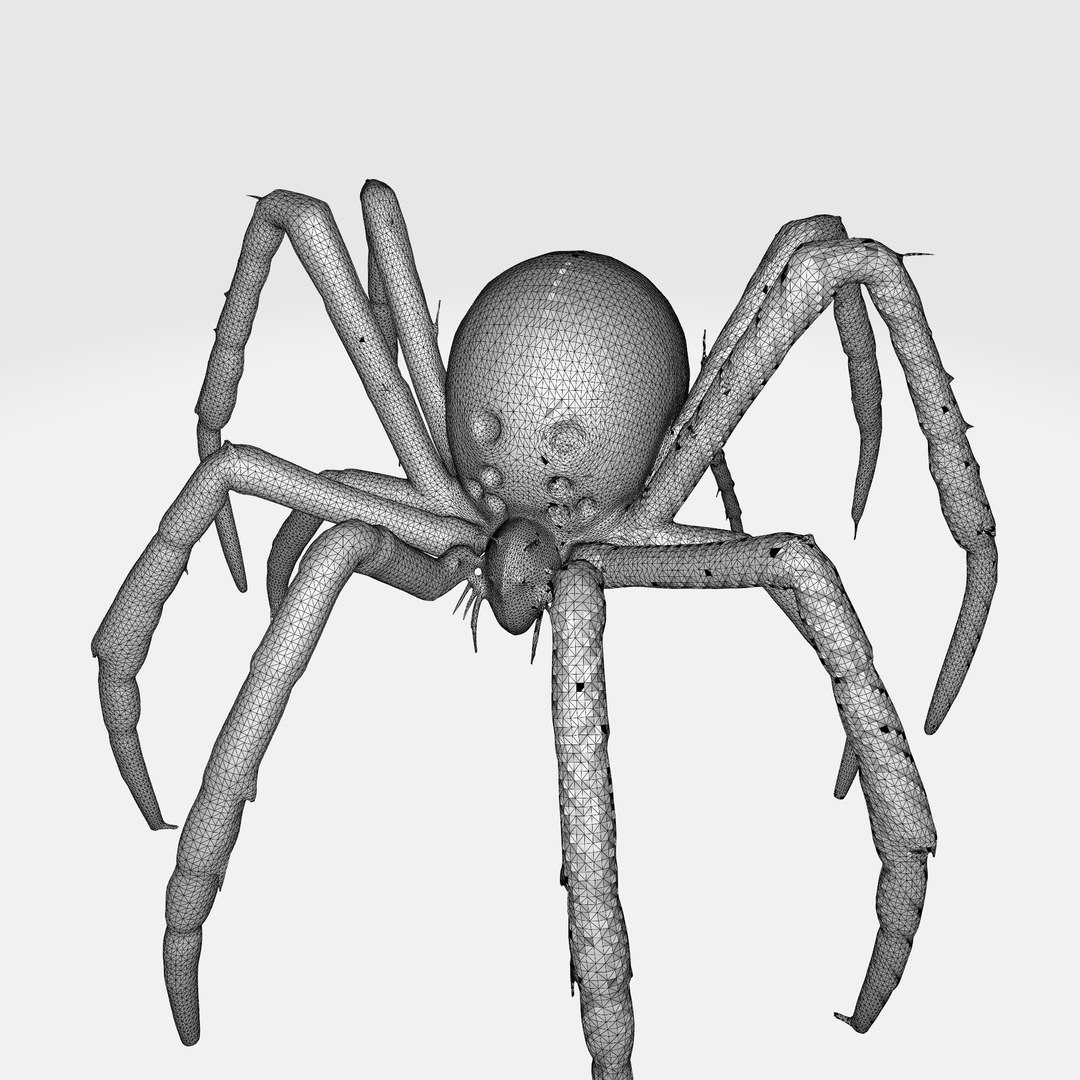 3D Spider Model With Glowing Eyes - TurboSquid 2331638