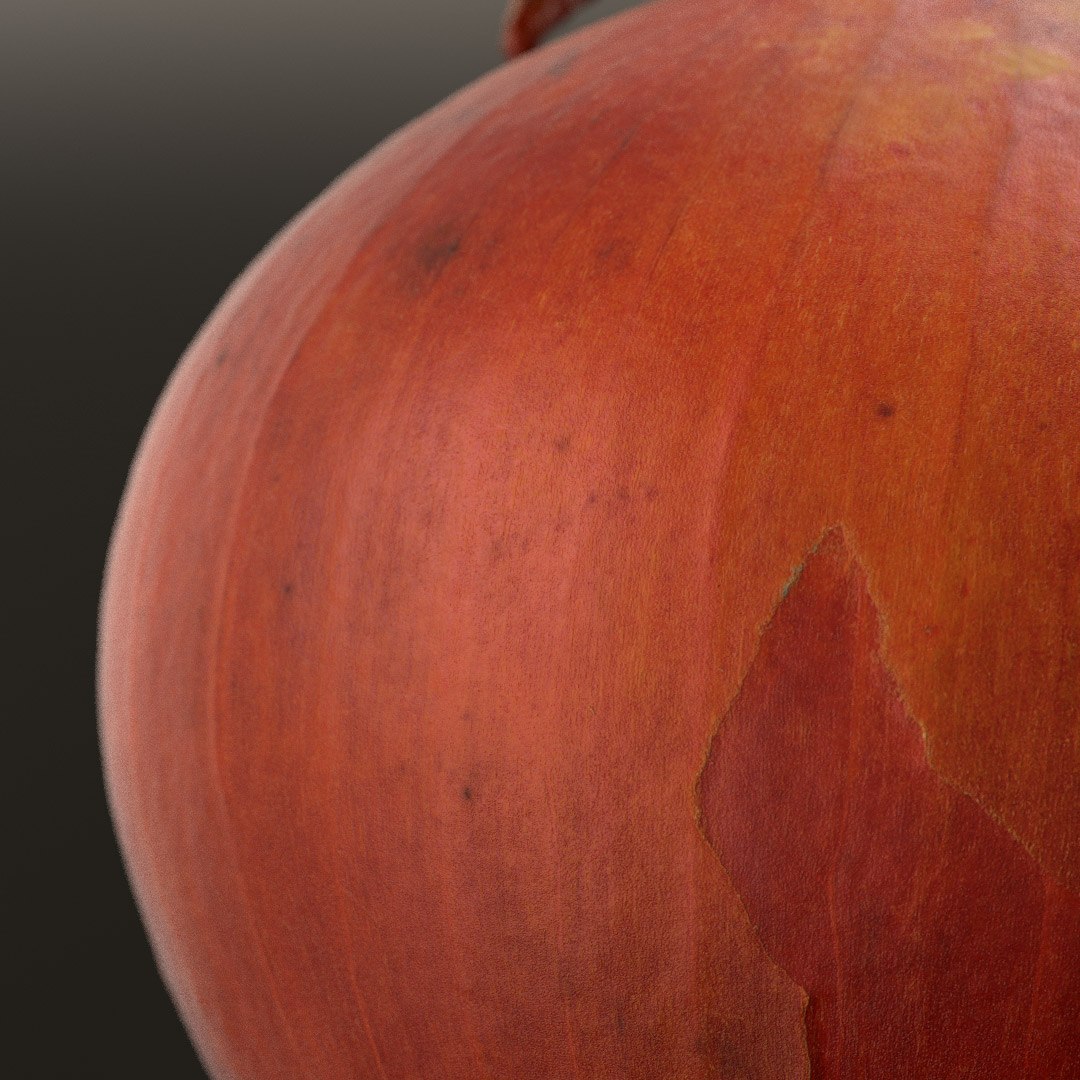 Onion 3D Model - TurboSquid 1190896