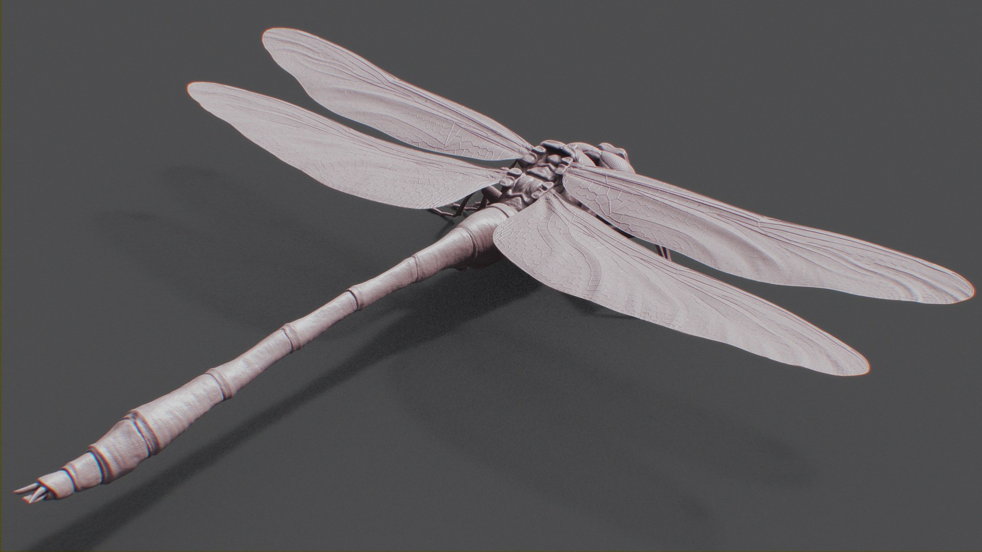 Dragonfly 3D Model - TurboSquid 2006431