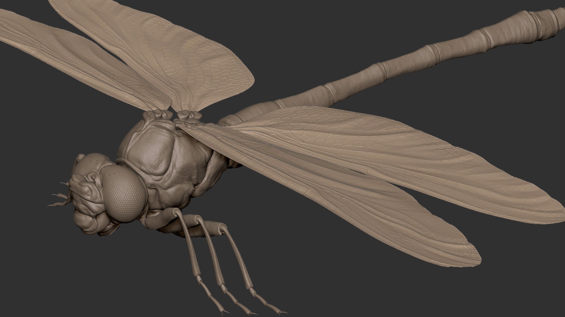 Dragonfly 3D Model - TurboSquid 2006431