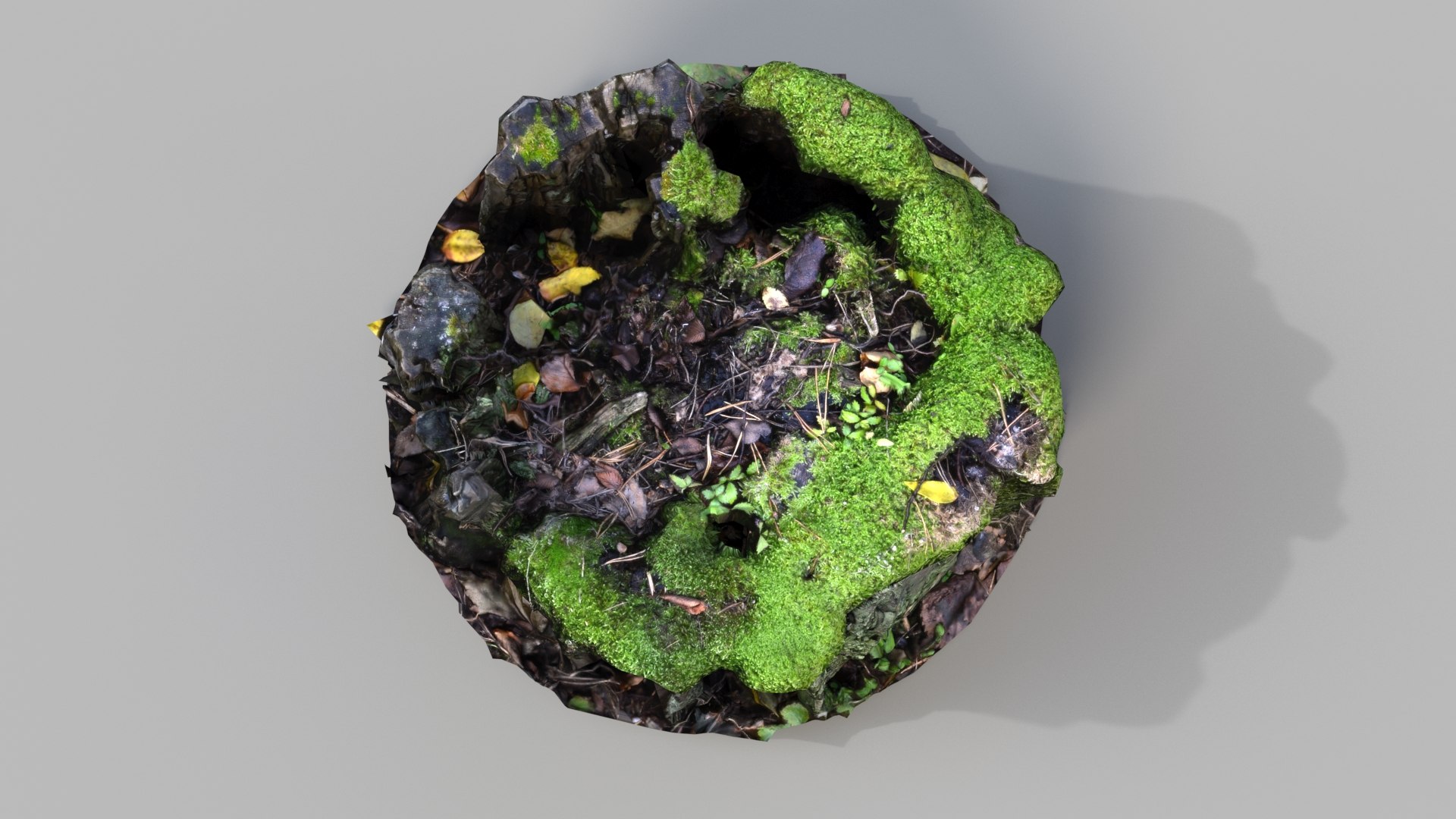 3D Model Old Mossed Stump - TurboSquid 1808832