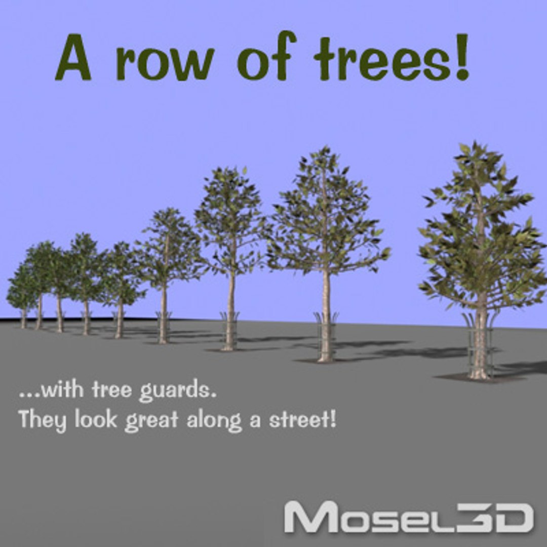 3d Model Row Trees