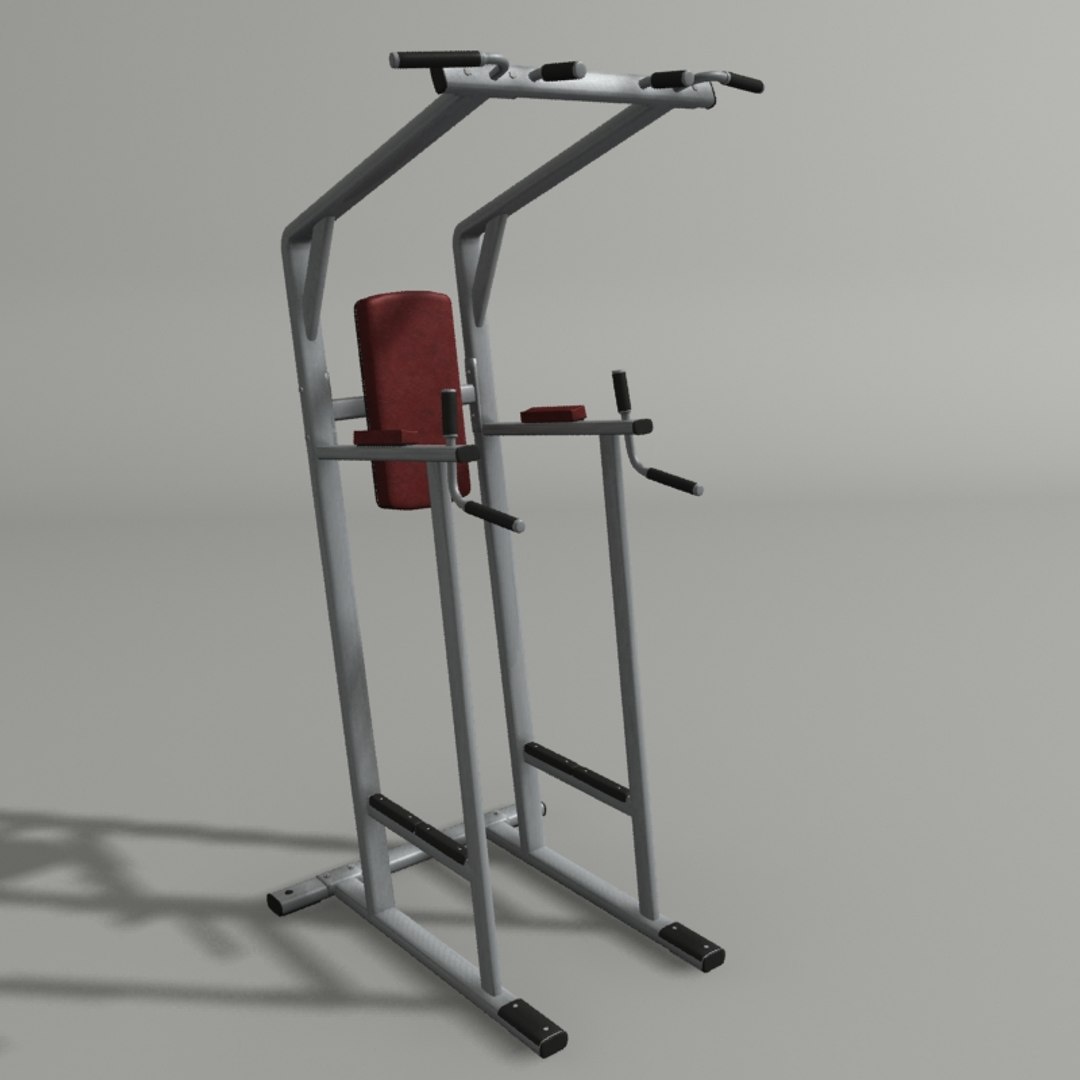 Chin Dip Leg Raise Max